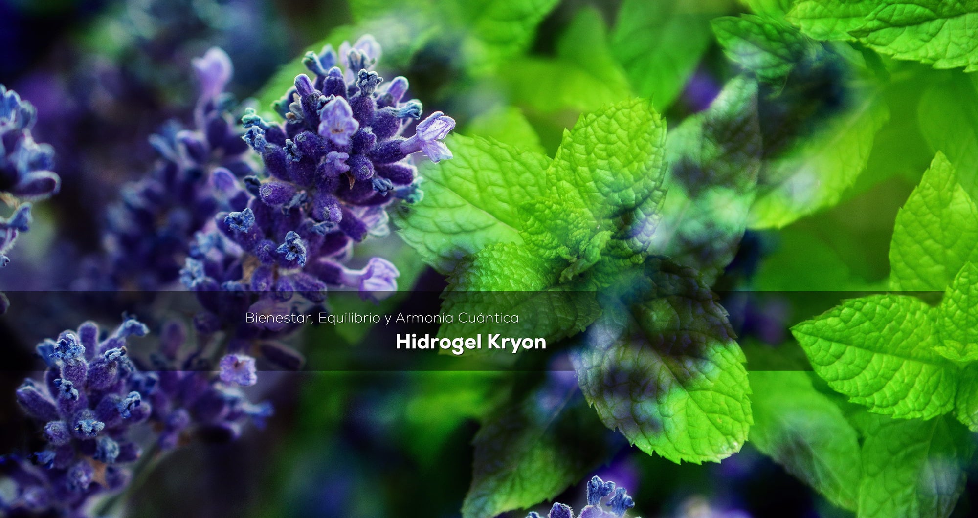 EHYA CAFÉ ~International Store~