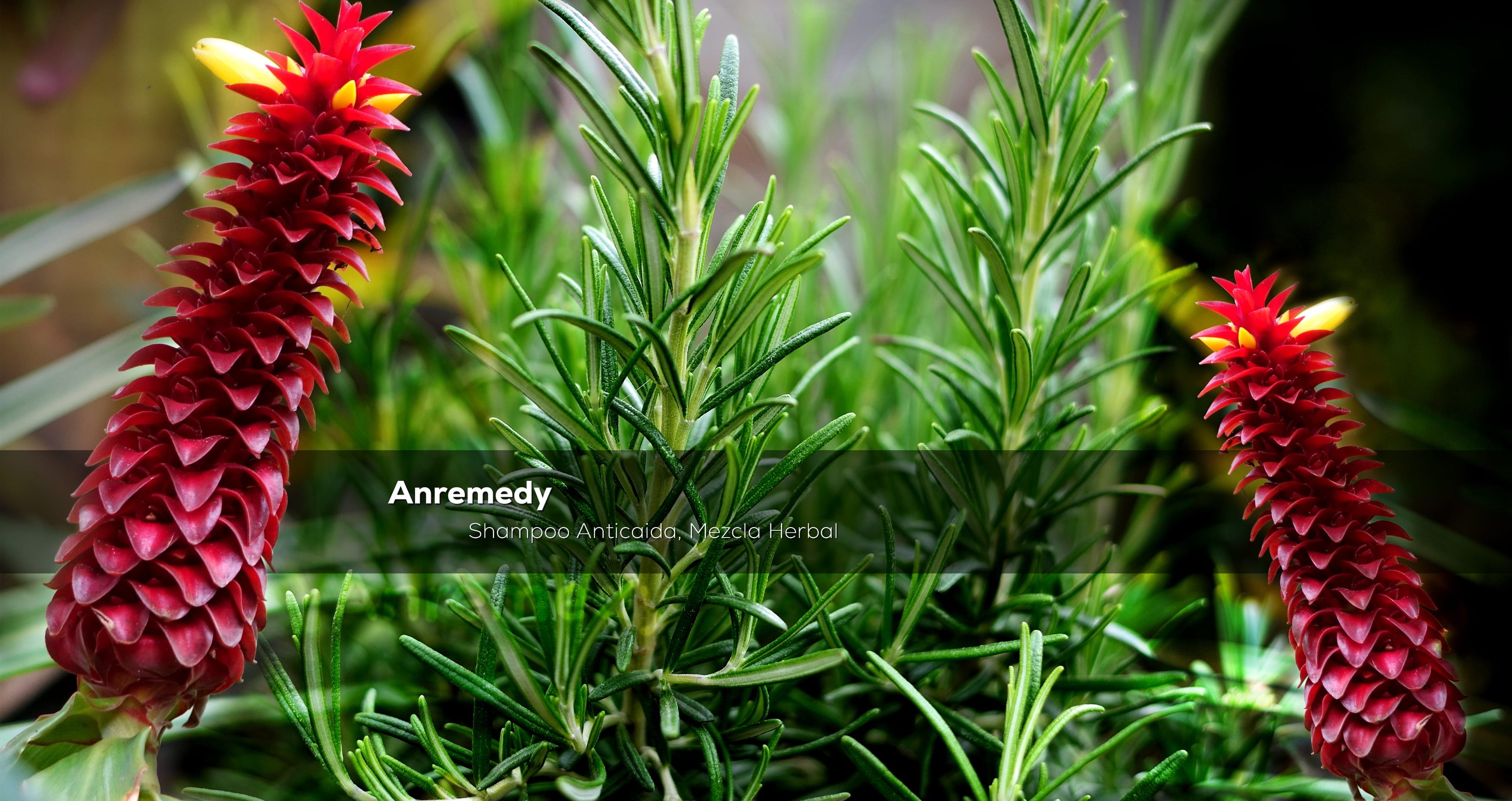 EHYA CAFÉ ~International Store~