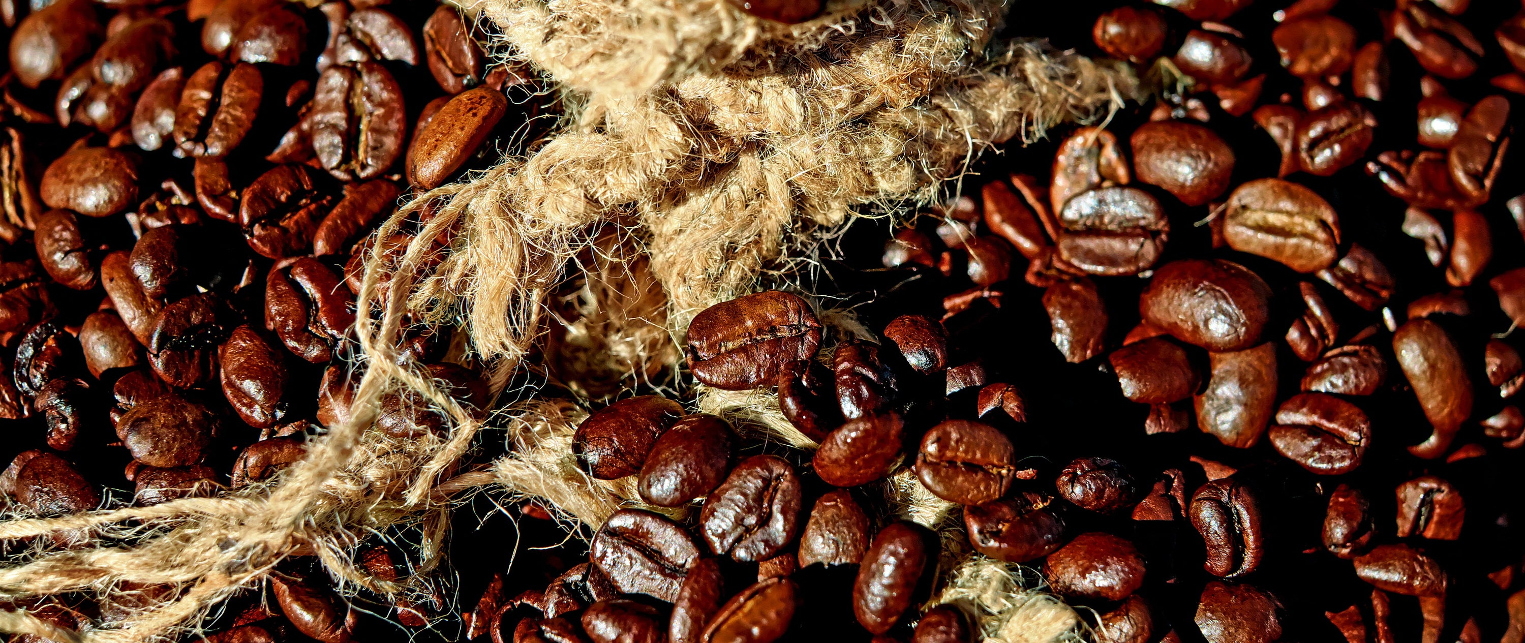 EHYA CAFÉ ~Tienda en Línea~